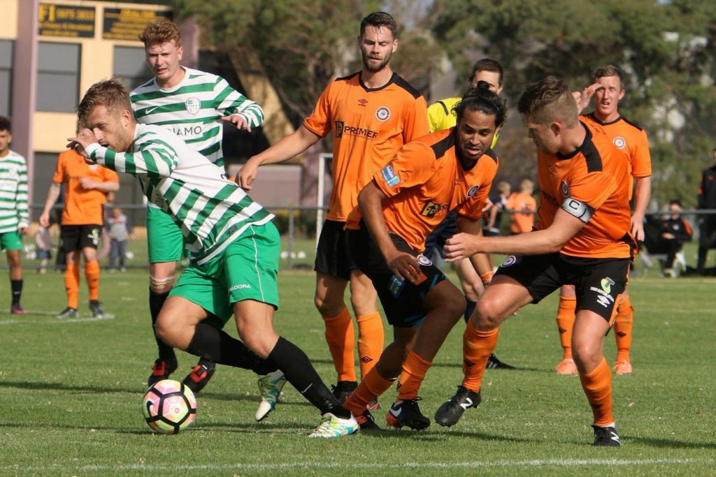 Magic, Geelong, Aris and Langy continue to impress alongside surprise ...